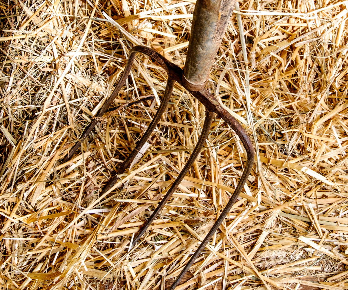 Ranch Supplies – Fox Feed Inc.